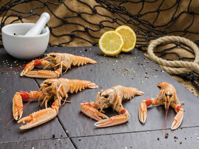 RARI Food Seafood Kaisergranaten – RARI Food International GmbH
